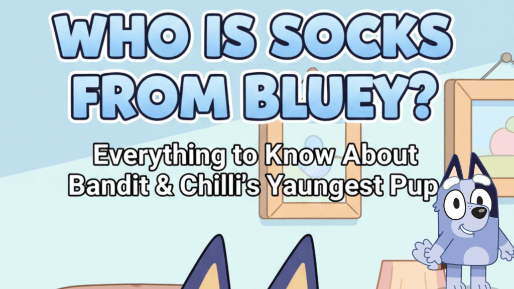 Socks From Bluey: Everything You Need To Know - 2026